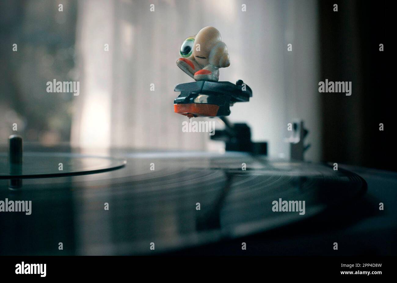 MARCEL THE SHELL WITH SHOES ON (2021), directed by DEAN FLEISCHER-CAMP ...