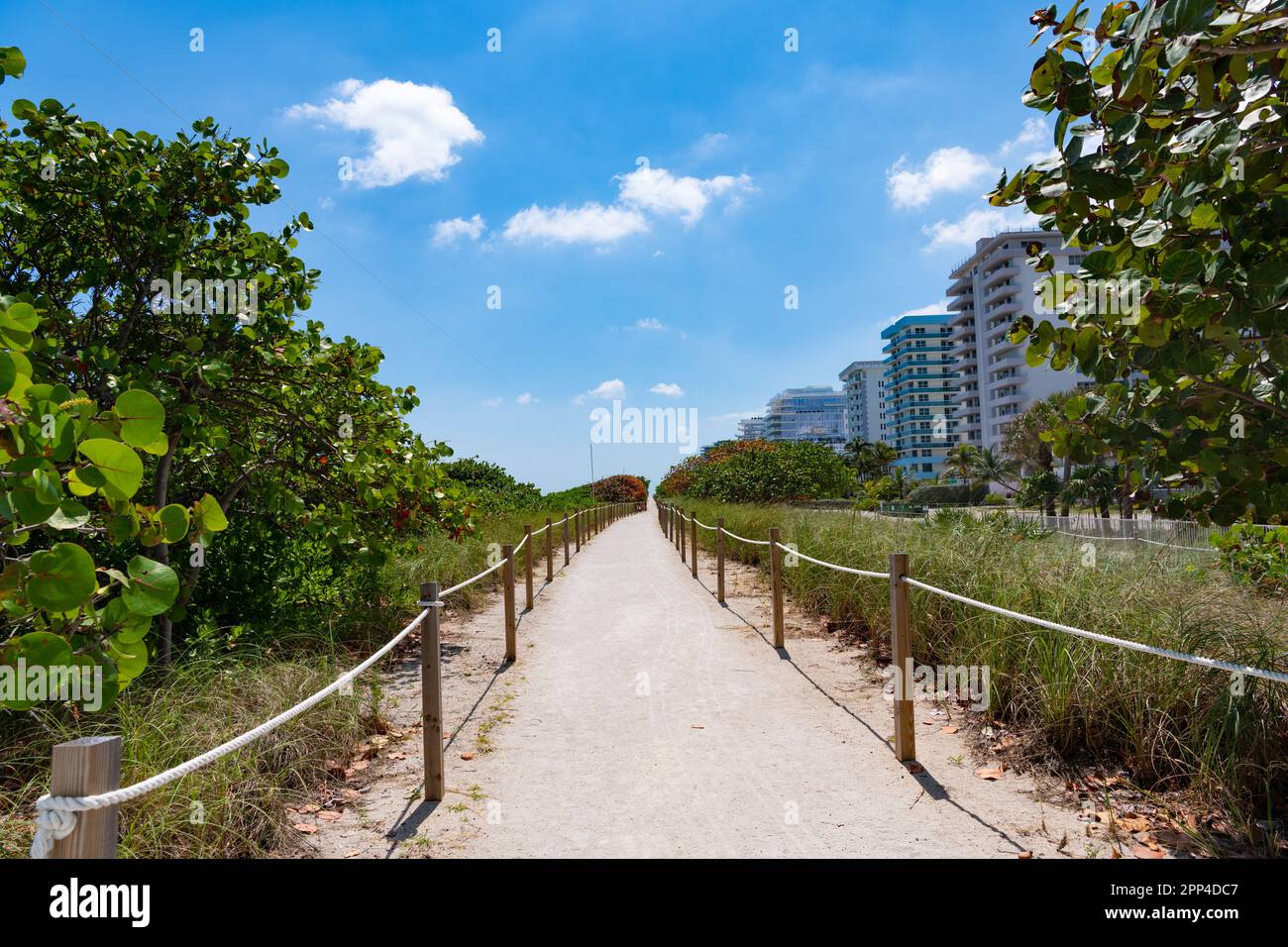 image of pathway with destination concept. summer pathway. empty road ...
