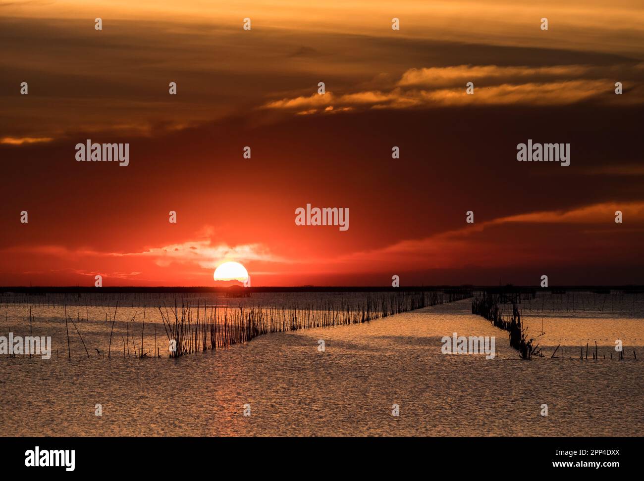 Beautiful sunset above sea in thailand. Silhouette of fish farms at ...