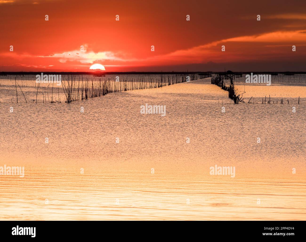 Fish farms thailand hi-res stock photography and images - Alamy