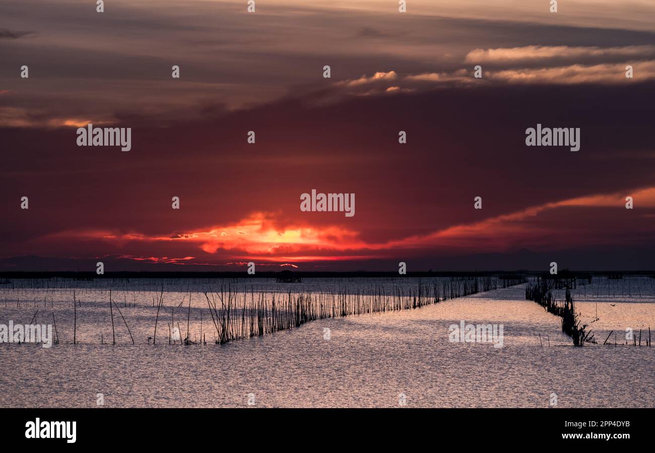Fish farms thailand hi-res stock photography and images - Alamy