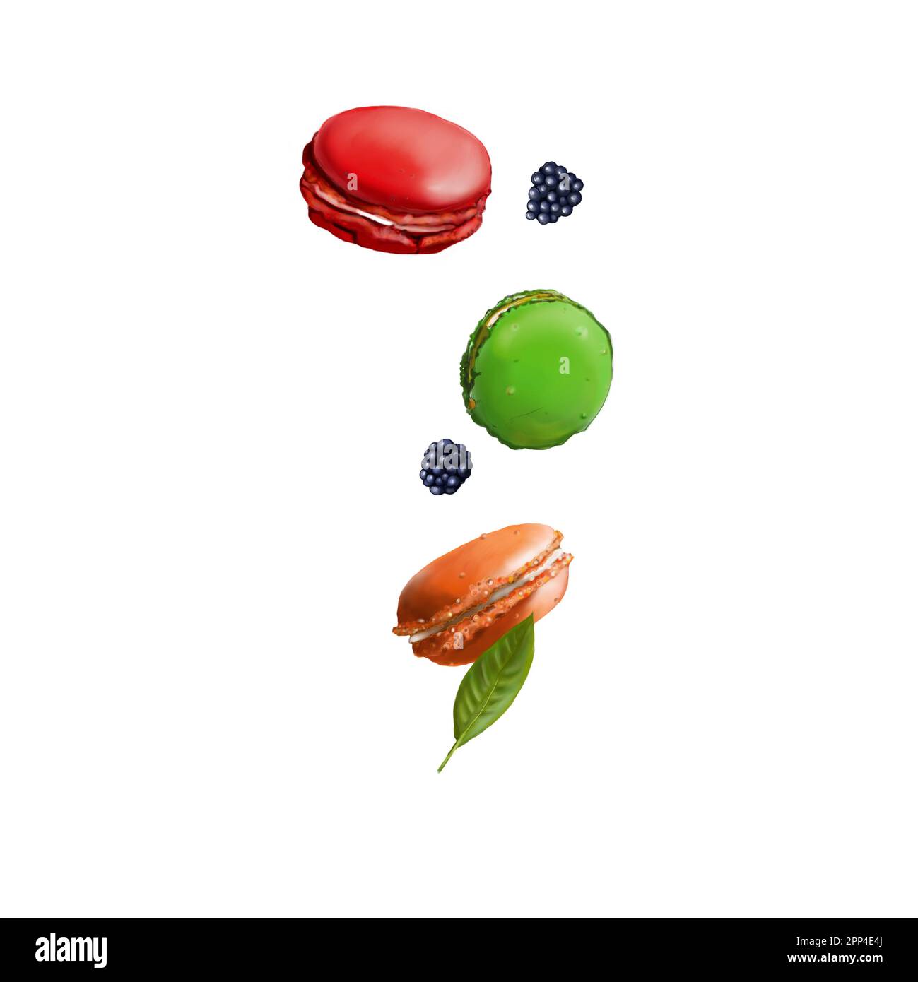 Macaroons with blackberry. Illustrations are drawn on a digital tablet ...