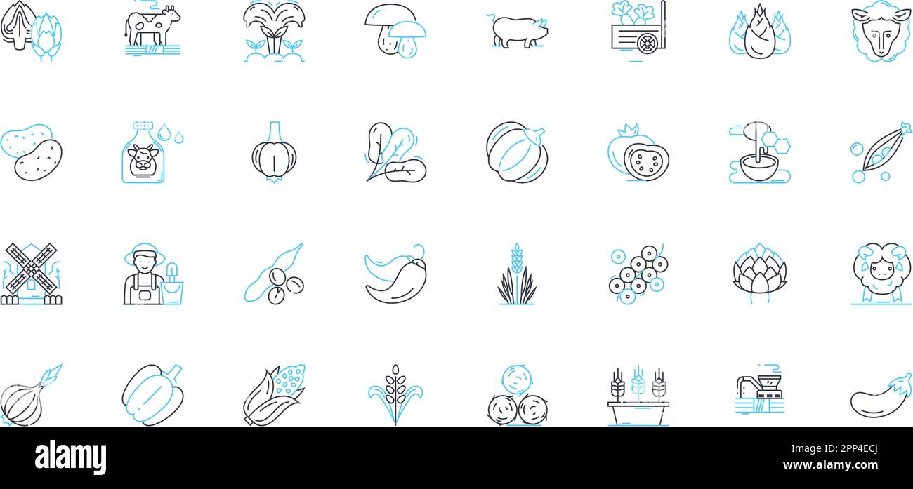 Ranch linear icons set. Horses, Trails, Cattle, Outdoors, Rodeo, Cowboy ...