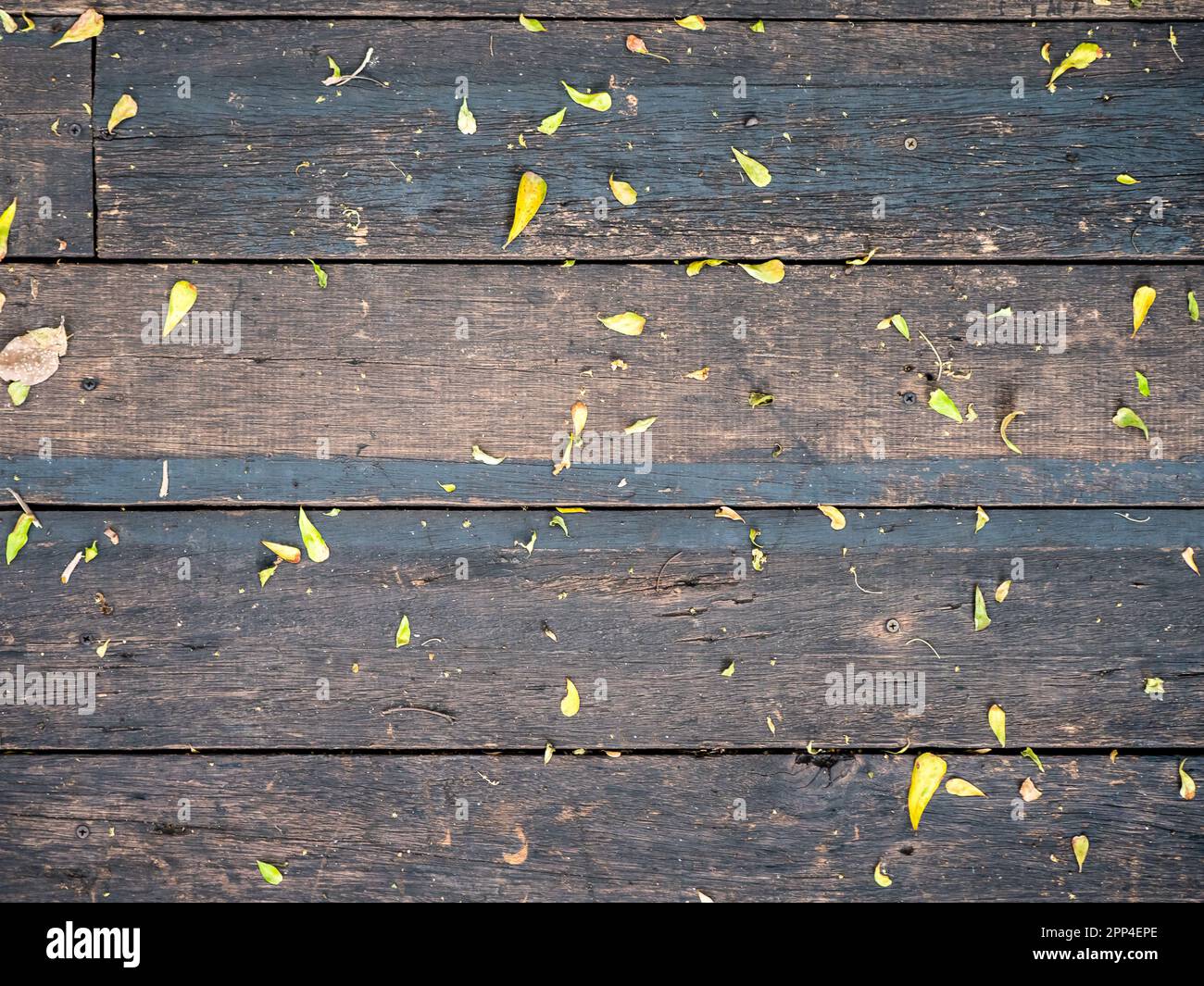 Wood Texture Background, horizontal line, with little leaves Stock ...