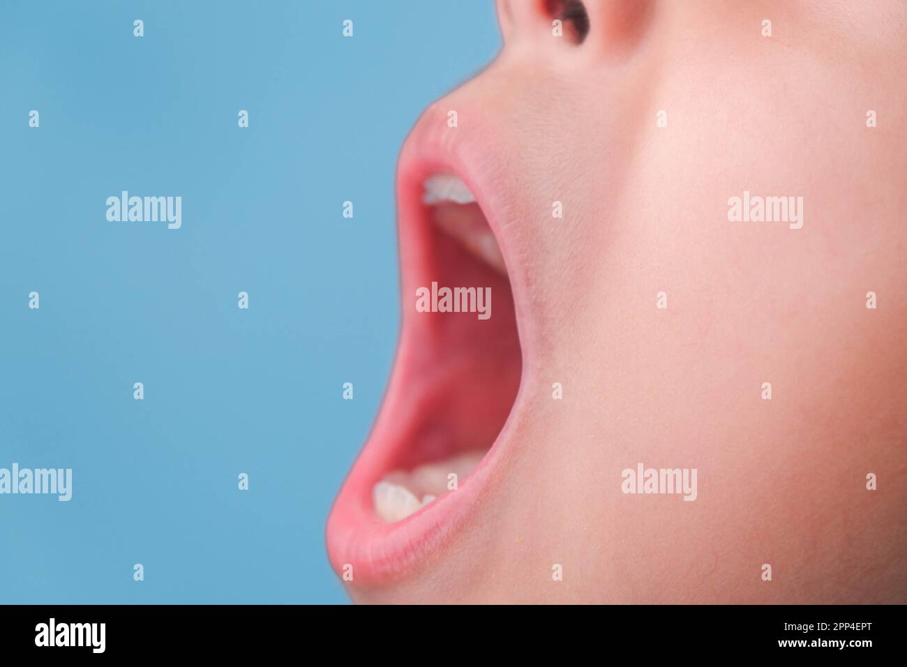 Close-up side view of inside the oral cavity of a healthy child with ...