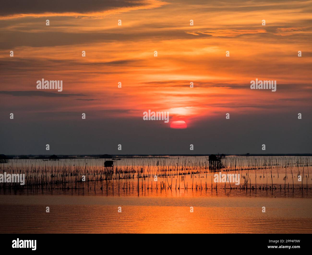 Fish farms thailand hi-res stock photography and images - Alamy