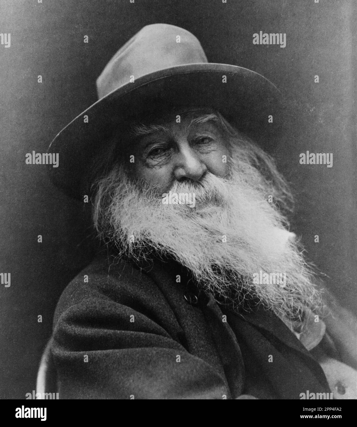 Walt whitman leaves hi-res stock photography and images - Alamy