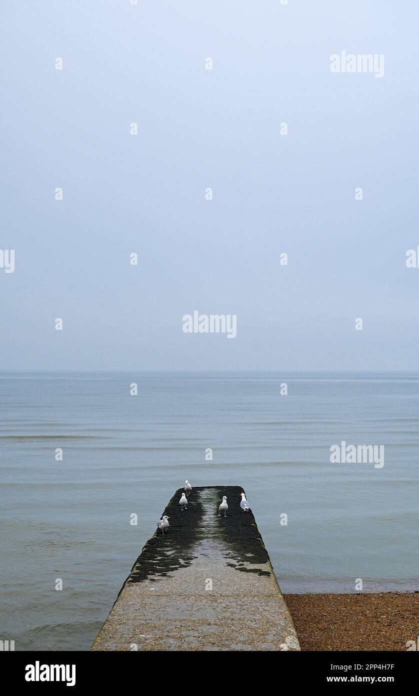 Grey uk day 2023 hi-res stock photography and images - Alamy