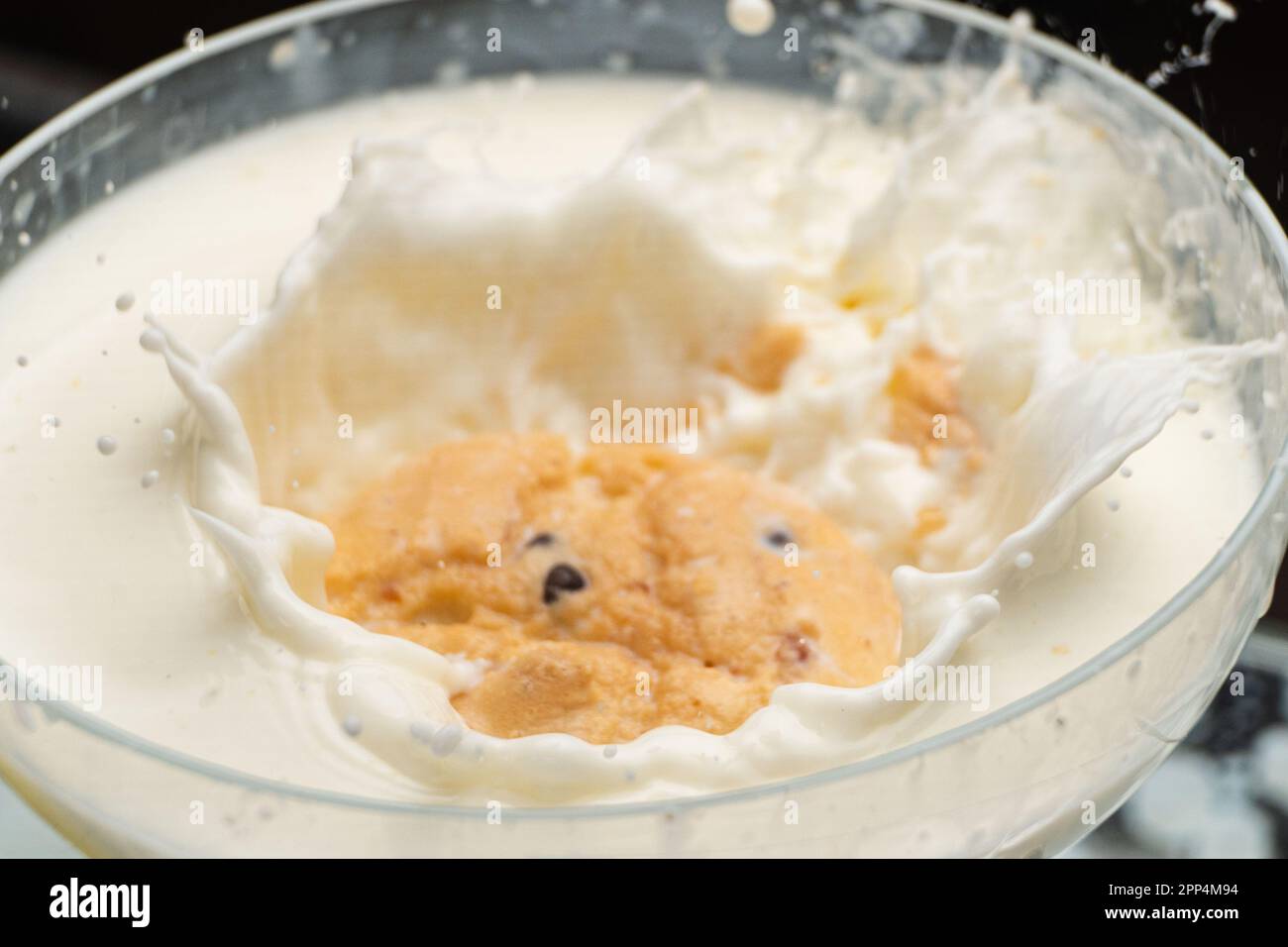 Chocolate Chip Cookie falling and splashing in milk Stock Photo - Alamy