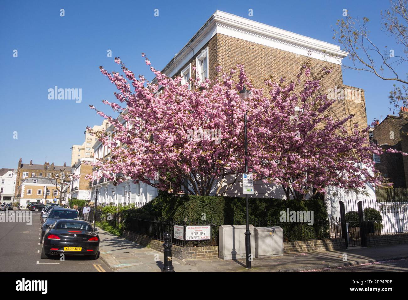 Chelsea residential trees uk hi-res stock photography and images - Alamy