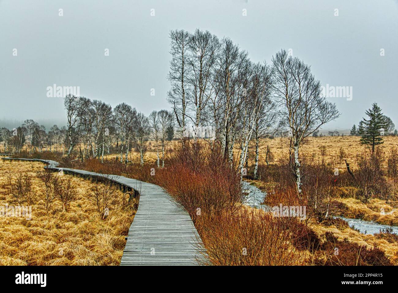 High fens eifel nature park hi-res stock photography and images - Alamy