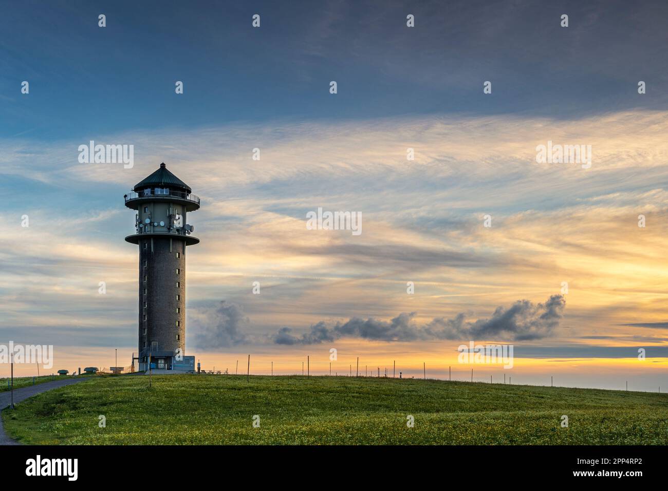 The Feldberg tower on mount Feldberg at sunset. In front a wildflower ...