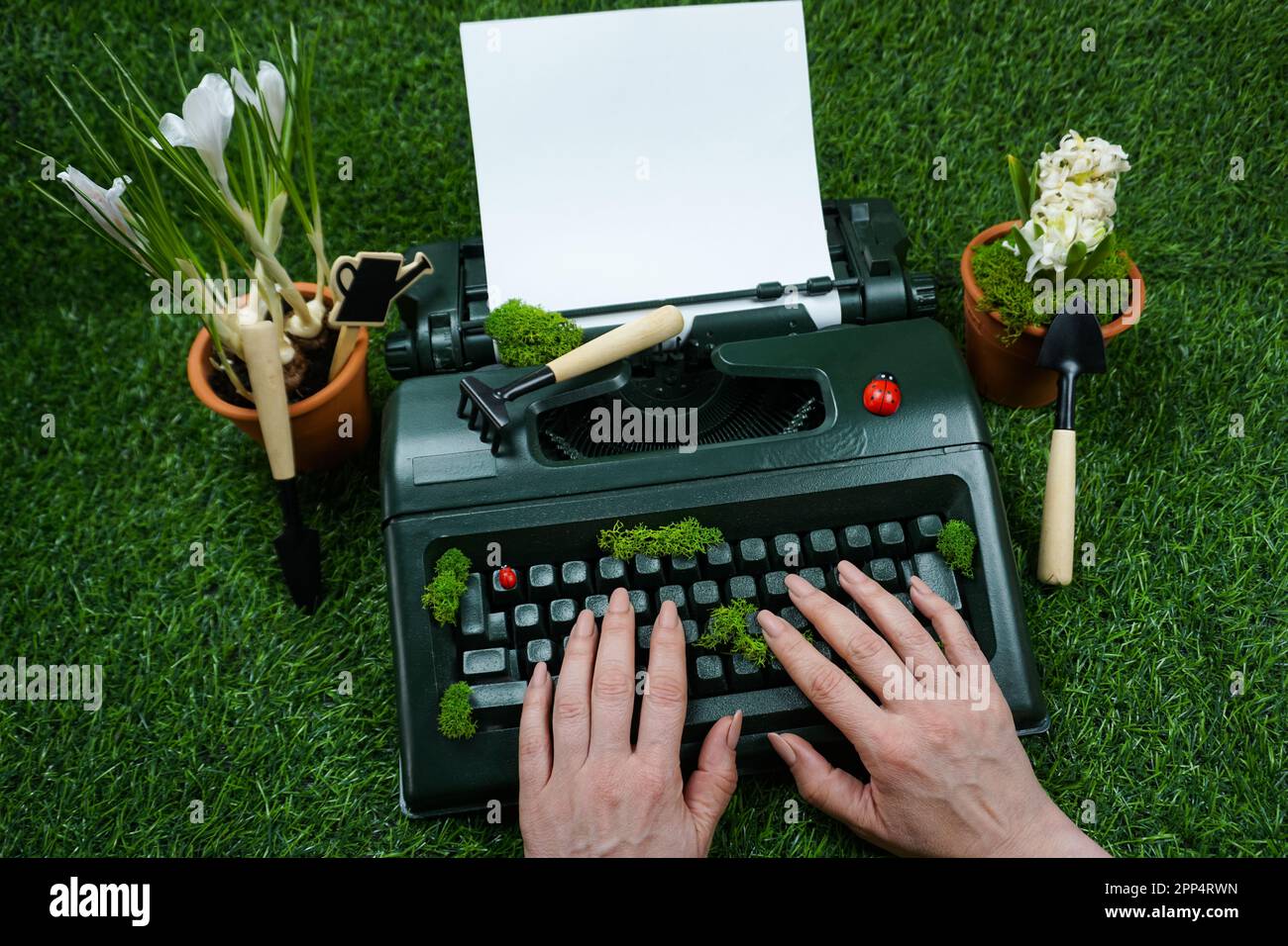 Women's hands are typing on a green typewriter overgrown with moss. The ...