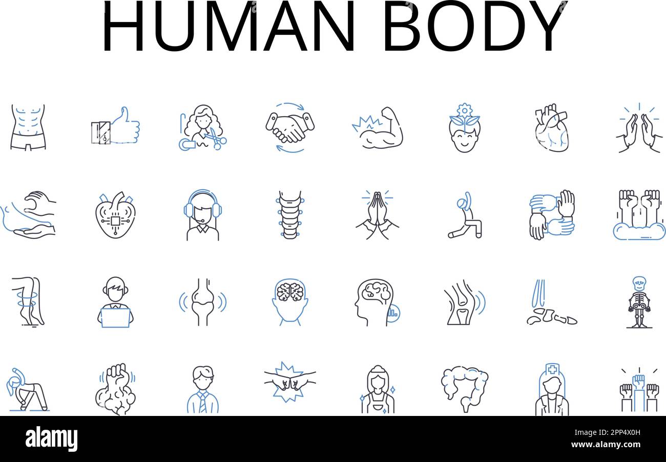 Human body line icons collection. Mental health, Fashion style ...