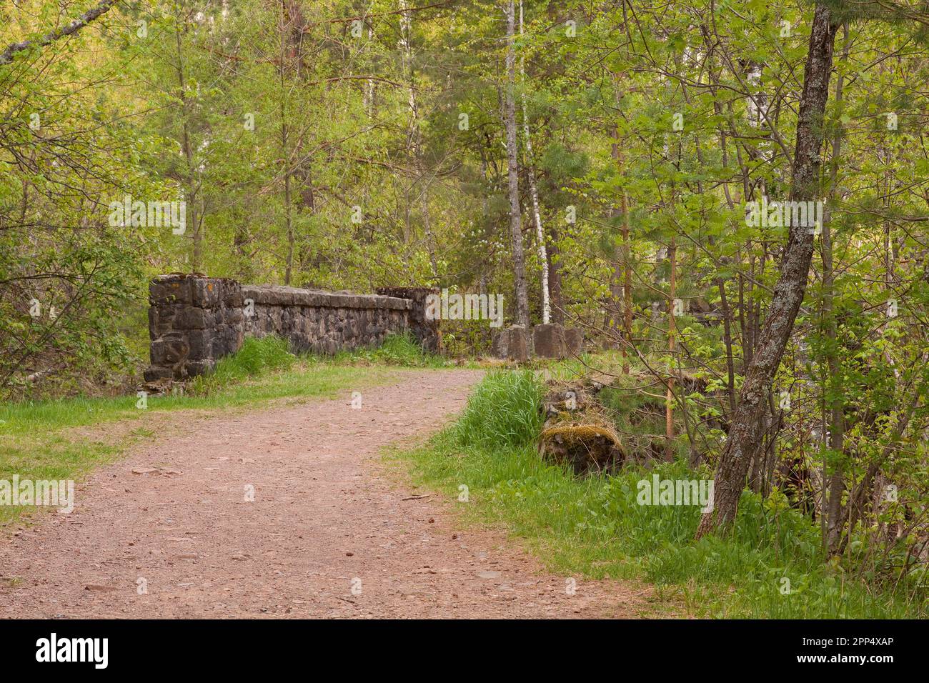 A trail crossing a stone bridge in the woods during spring Stock Photo ...