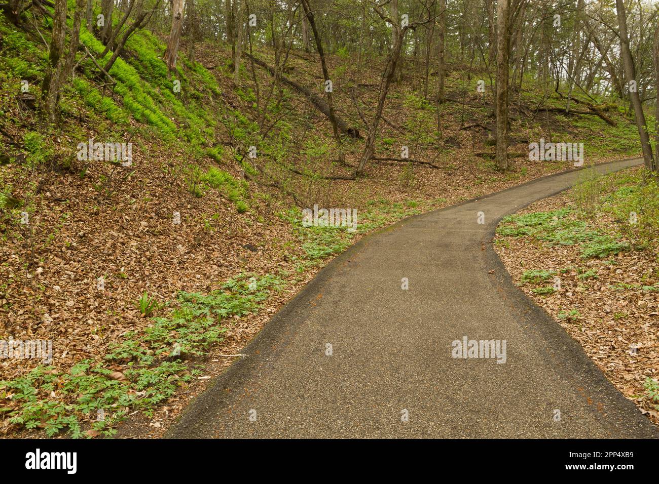 Walking and bike trail hi-res stock photography and images - Alamy