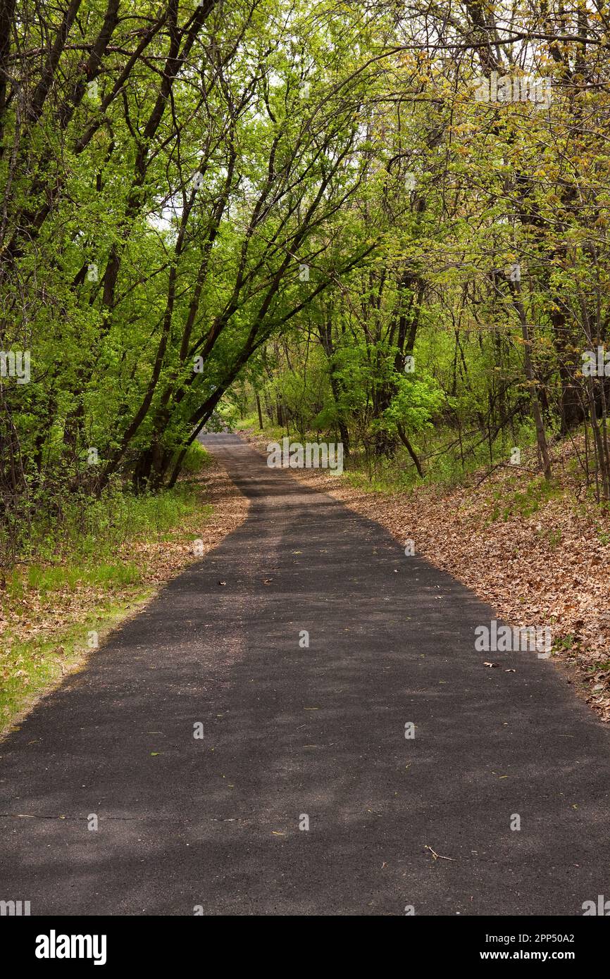 A hiking and bike trail in the woods during spring Stock Photo - Alamy