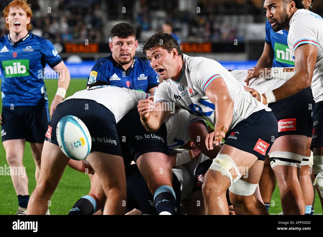 Waratahs player Will Harris during the Super Rugby Pacific Round 9 ...
