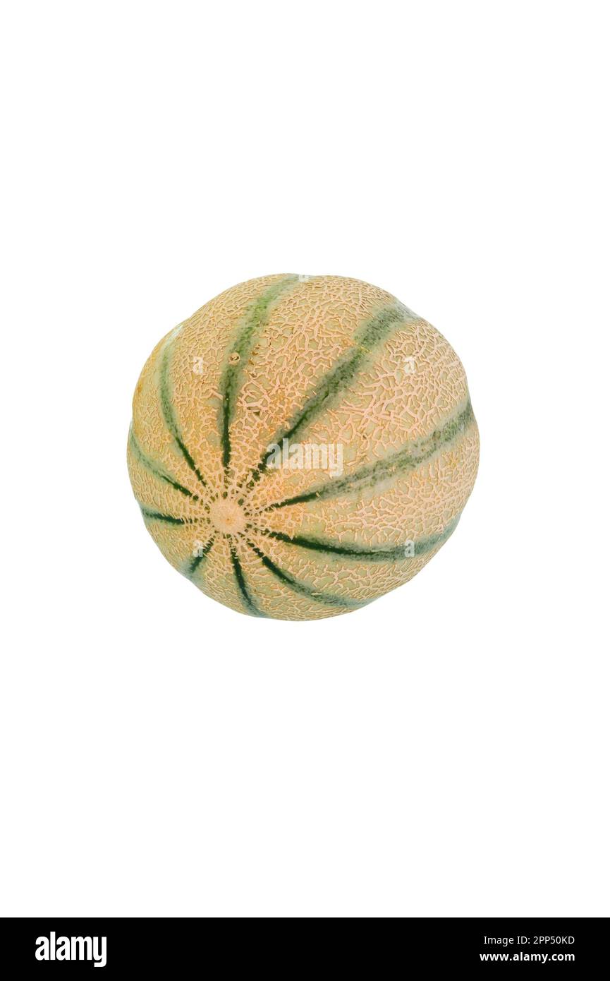 Cantaloupe melon or Charentais melon, food, cropped, white background ...