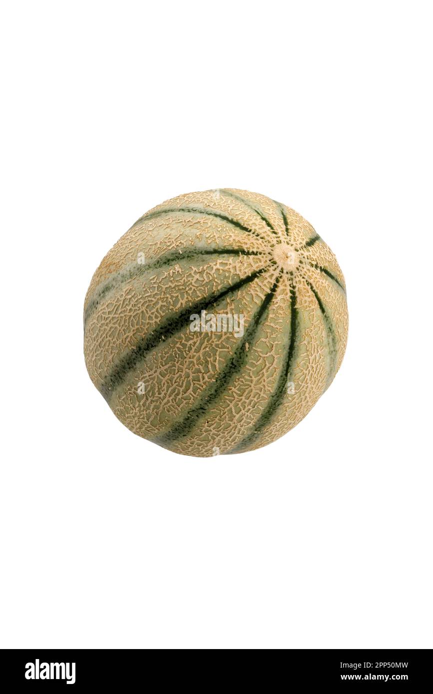 Cantaloupe melon or Charentais melon, food, cropped, white background ...