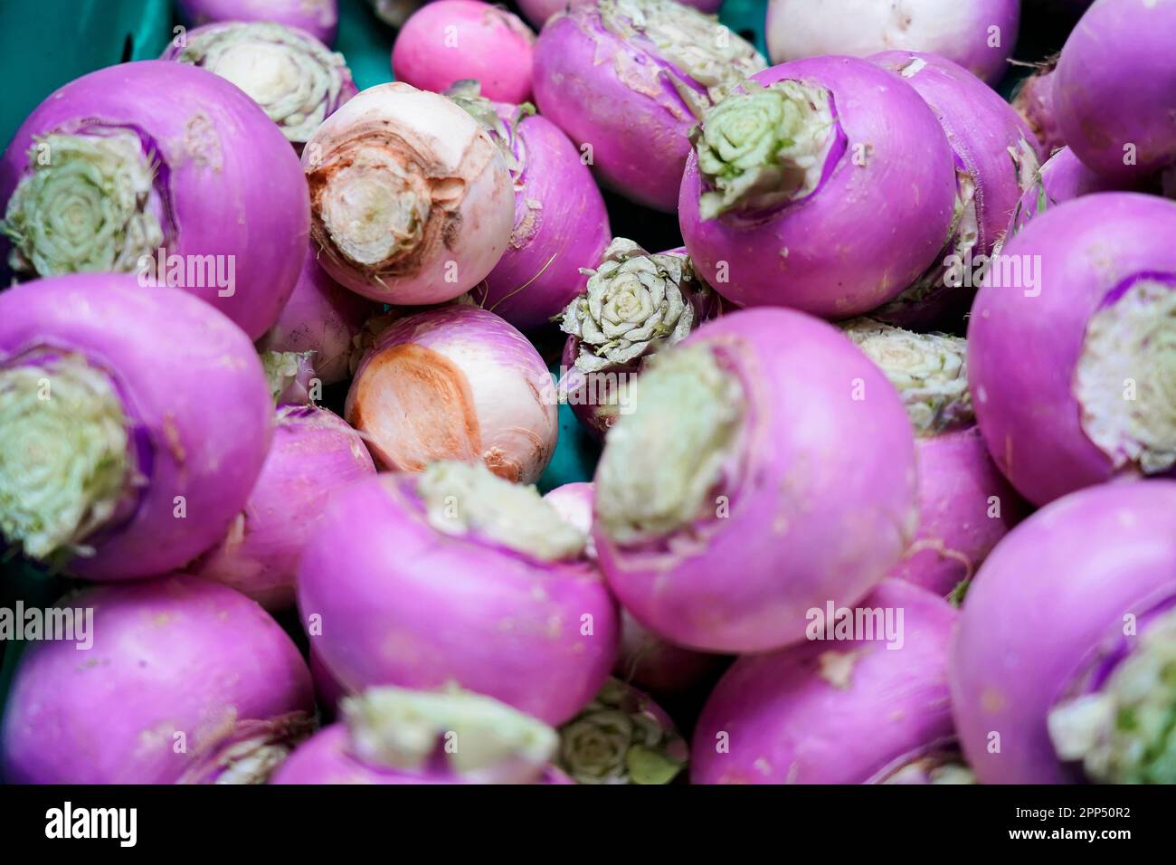Fruit, Vegetable Market Hall, Old Town, Coimbra, Beira Litoral ...