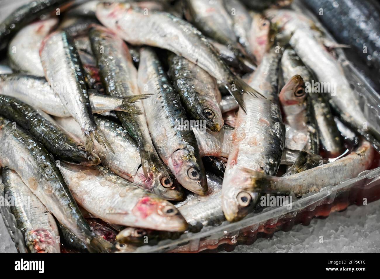 Seafood, Fish, Market Hall, Old Town, Coimbra, Beira Litoral, Portugal ...