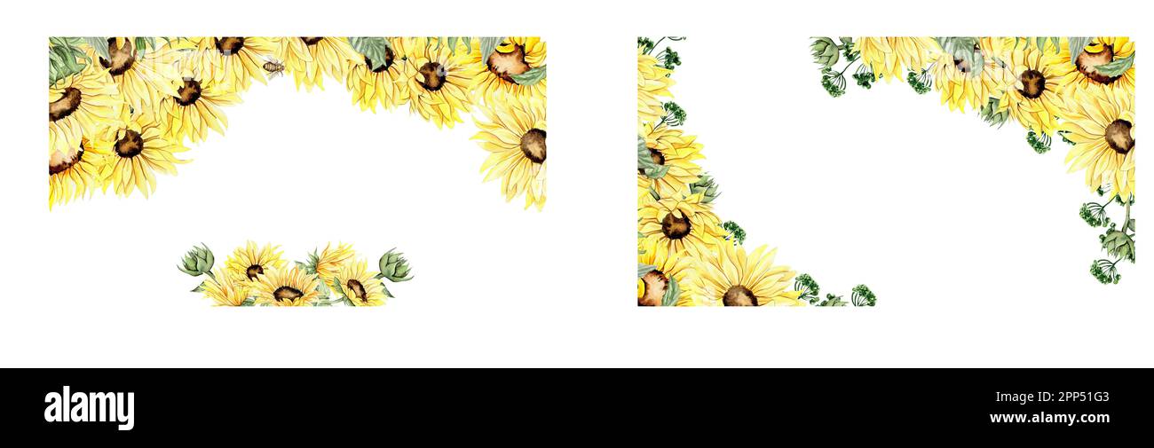 Watercolor horizontal seamless background with sunflowers set ...