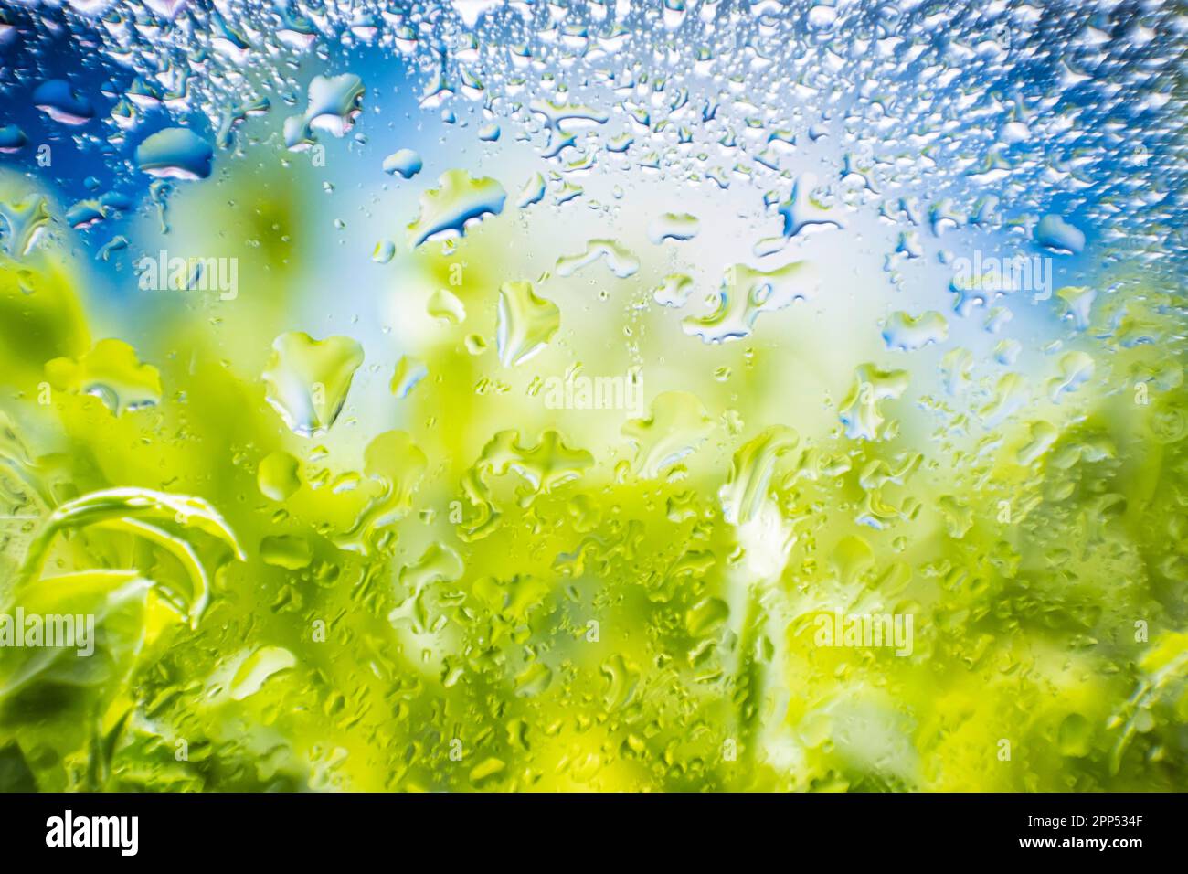 Background rain drops close up Stock Photo - Alamy