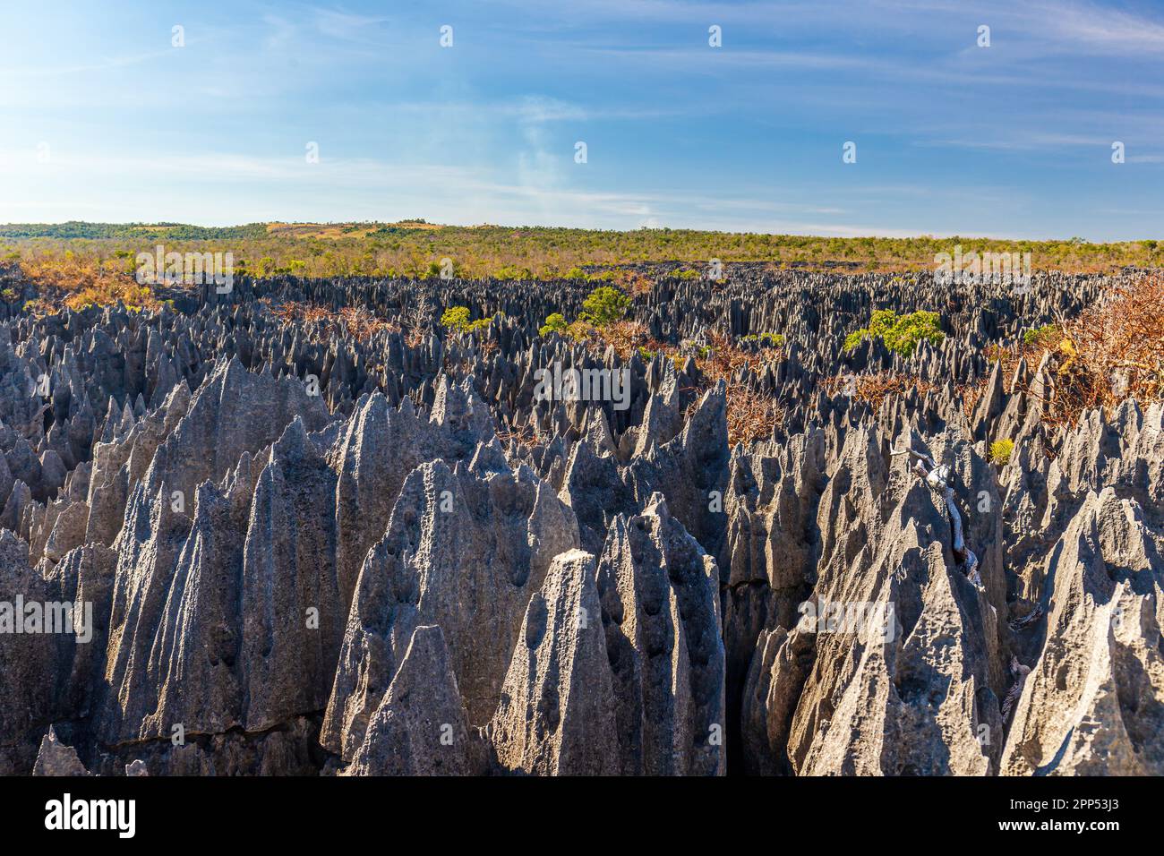 Tsingy de Bemaraha nature reserve, Madagascar Stock Photo - Alamy