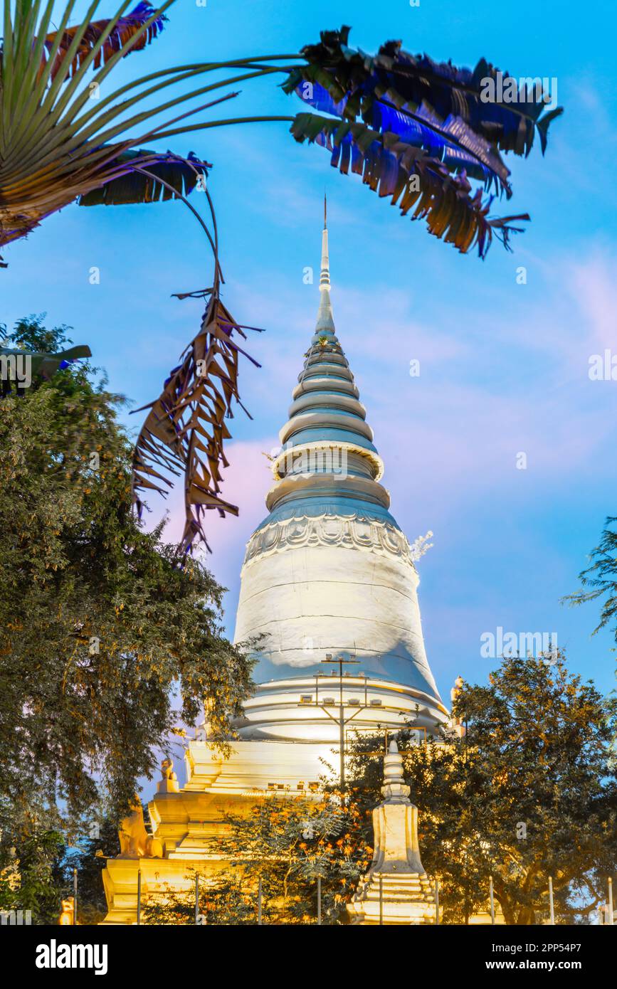 In Wat Penh gardens,a gift from China,covered in green grass,a large ...