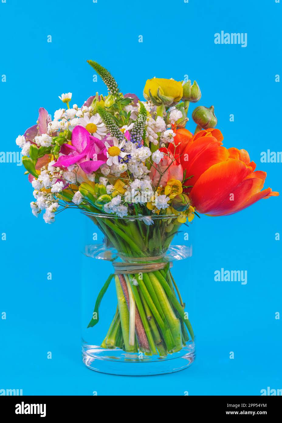 Closeup of a spring flower arrangement in a glass vase Stock Photo - Alamy