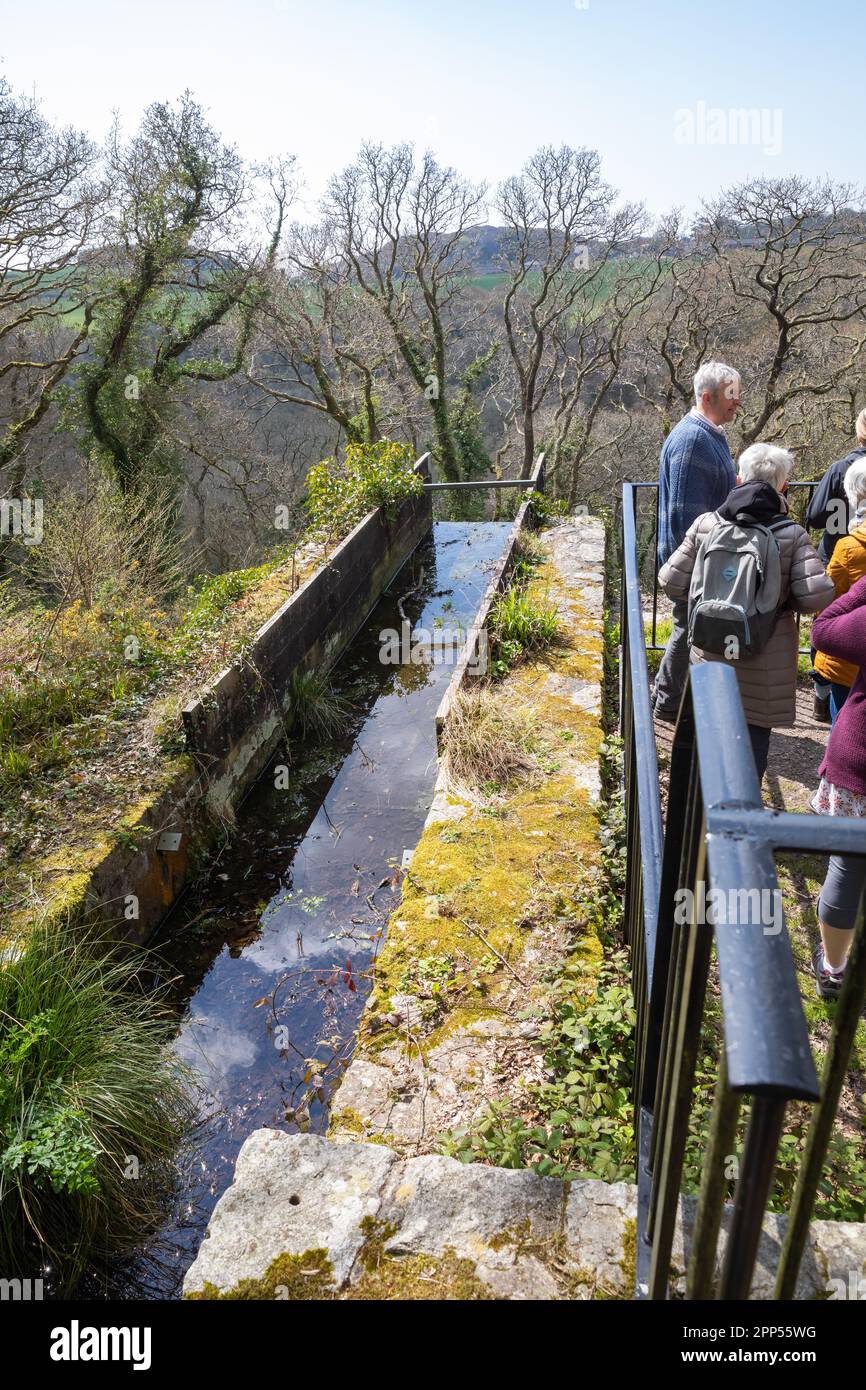 Treffry viaduct cornwall hi-res stock photography and images - Alamy