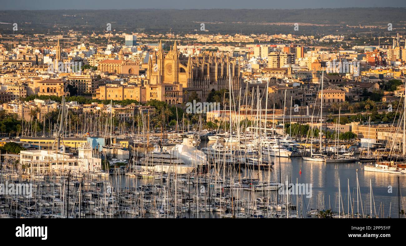 Evening atmosphere, view of the harbour and cathedral, city view ...