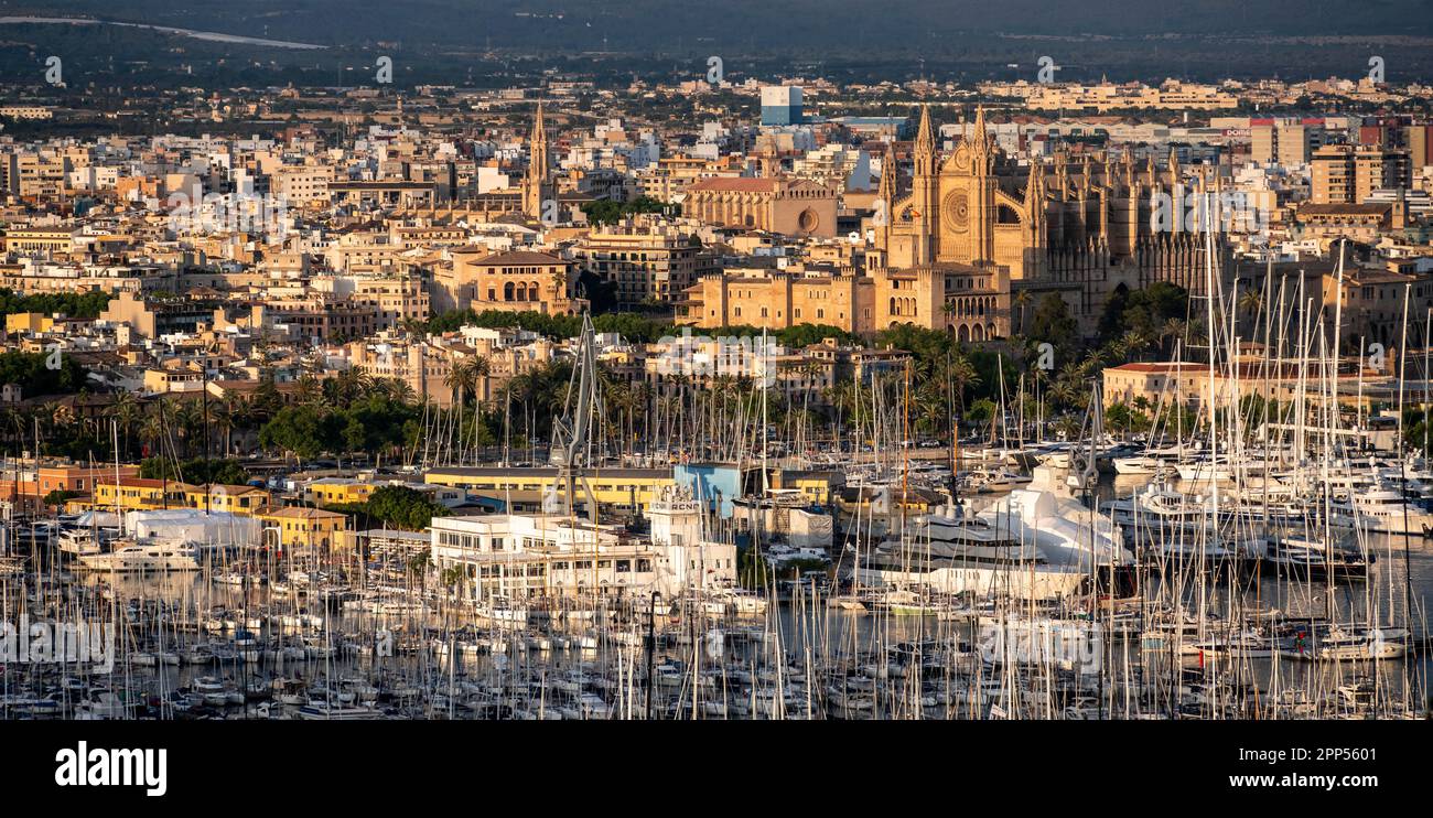 Evening atmosphere, view of the harbour and cathedral, city view ...