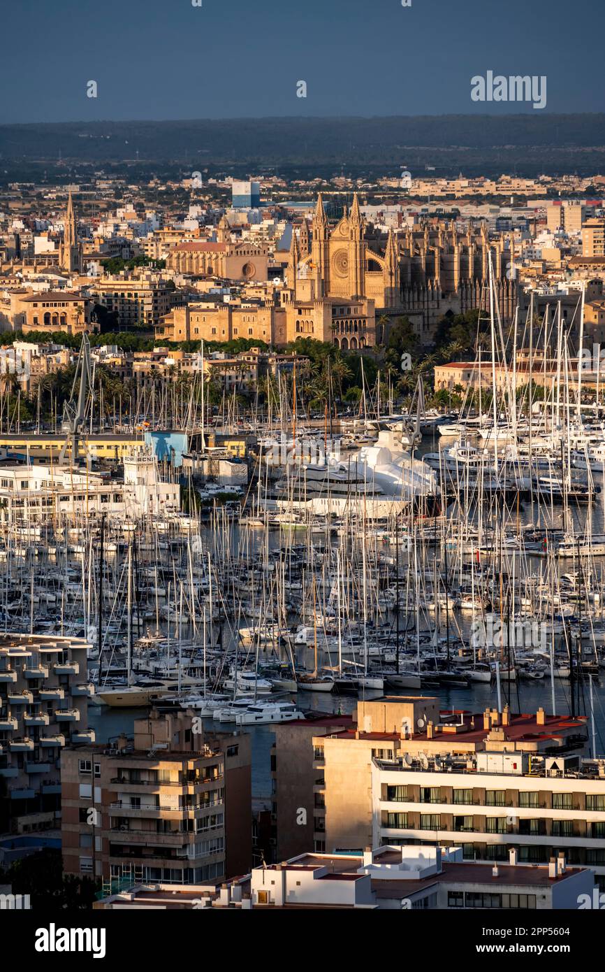 Evening atmosphere, view of the harbour and cathedral, city view ...