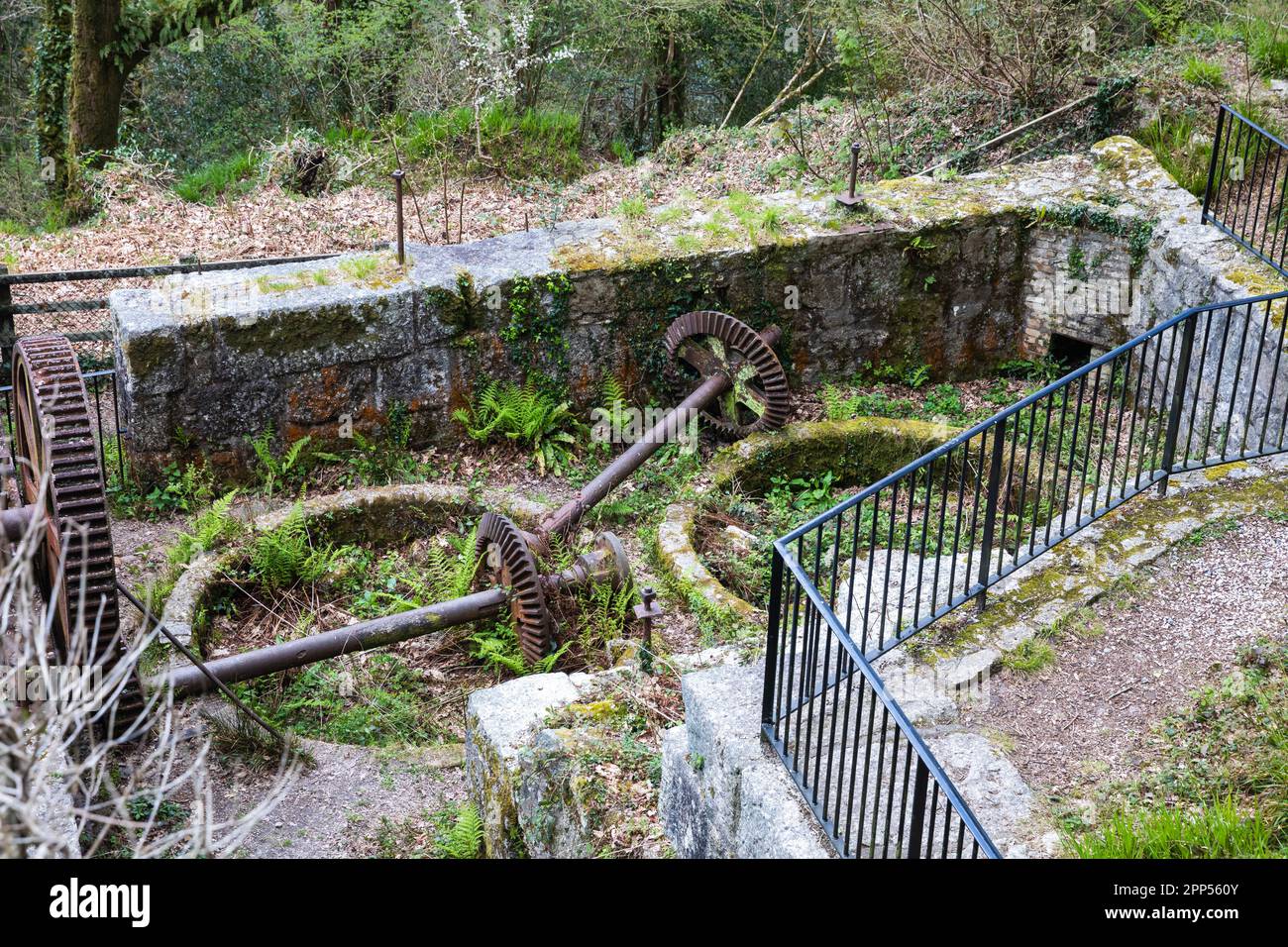 Cornwall treffry viaduct hi-res stock photography and images - Alamy
