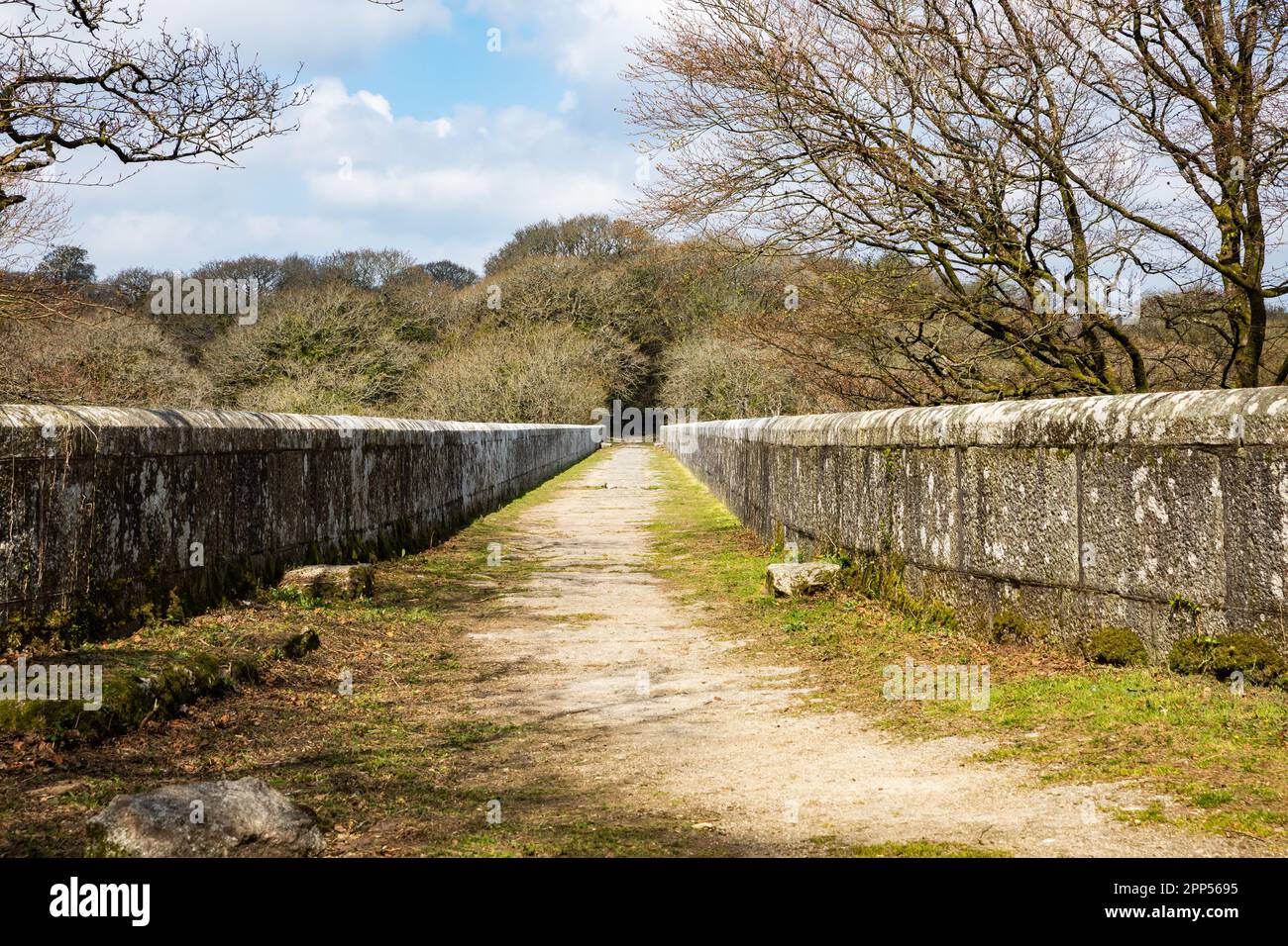 Cornwall treffry viaduct hi-res stock photography and images - Alamy
