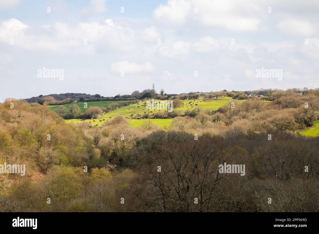 Treffry Viaduct in Cornwall Stock Photo - Alamy