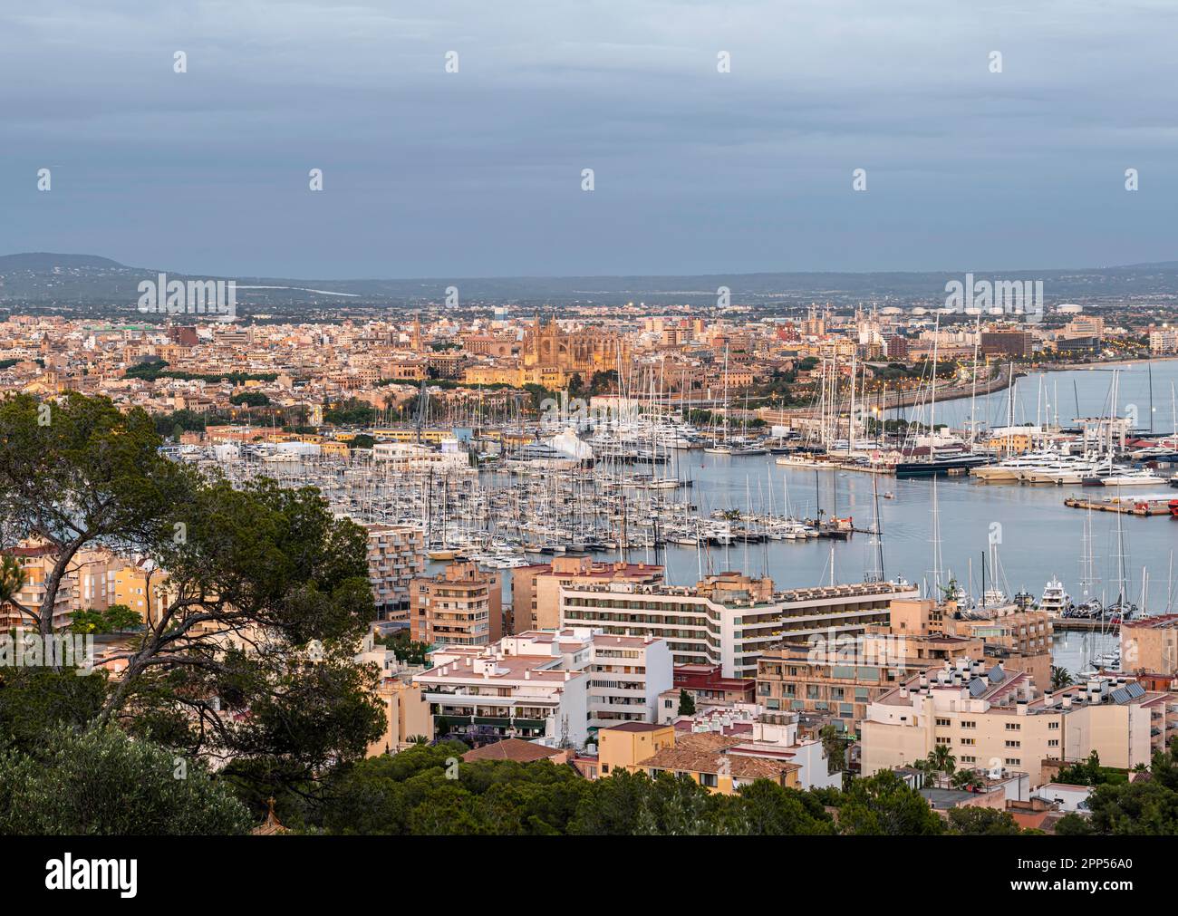 Evening atmosphere, view of the harbour and cathedral, city view ...