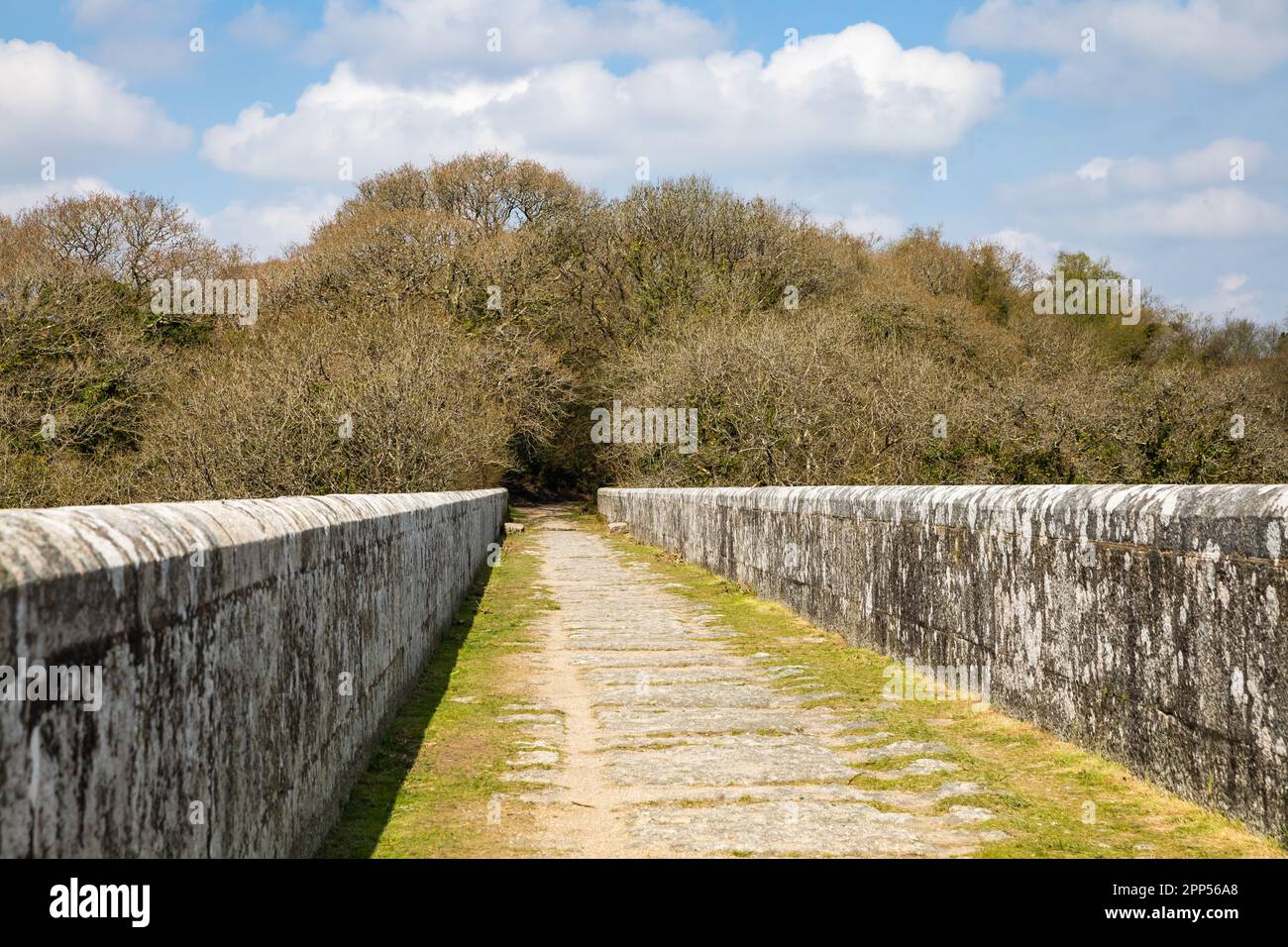 Cornwall treffry viaduct hi-res stock photography and images - Alamy