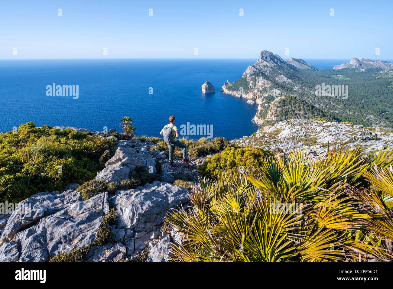 Tourist looking over rocky cliffs and sea, Cap Formentor, coastal ...