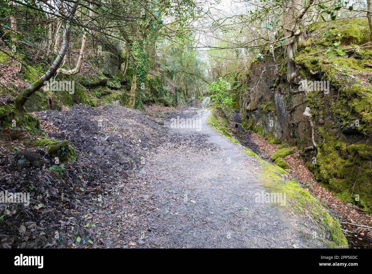 Cornwall treffry viaduct hi-res stock photography and images - Alamy