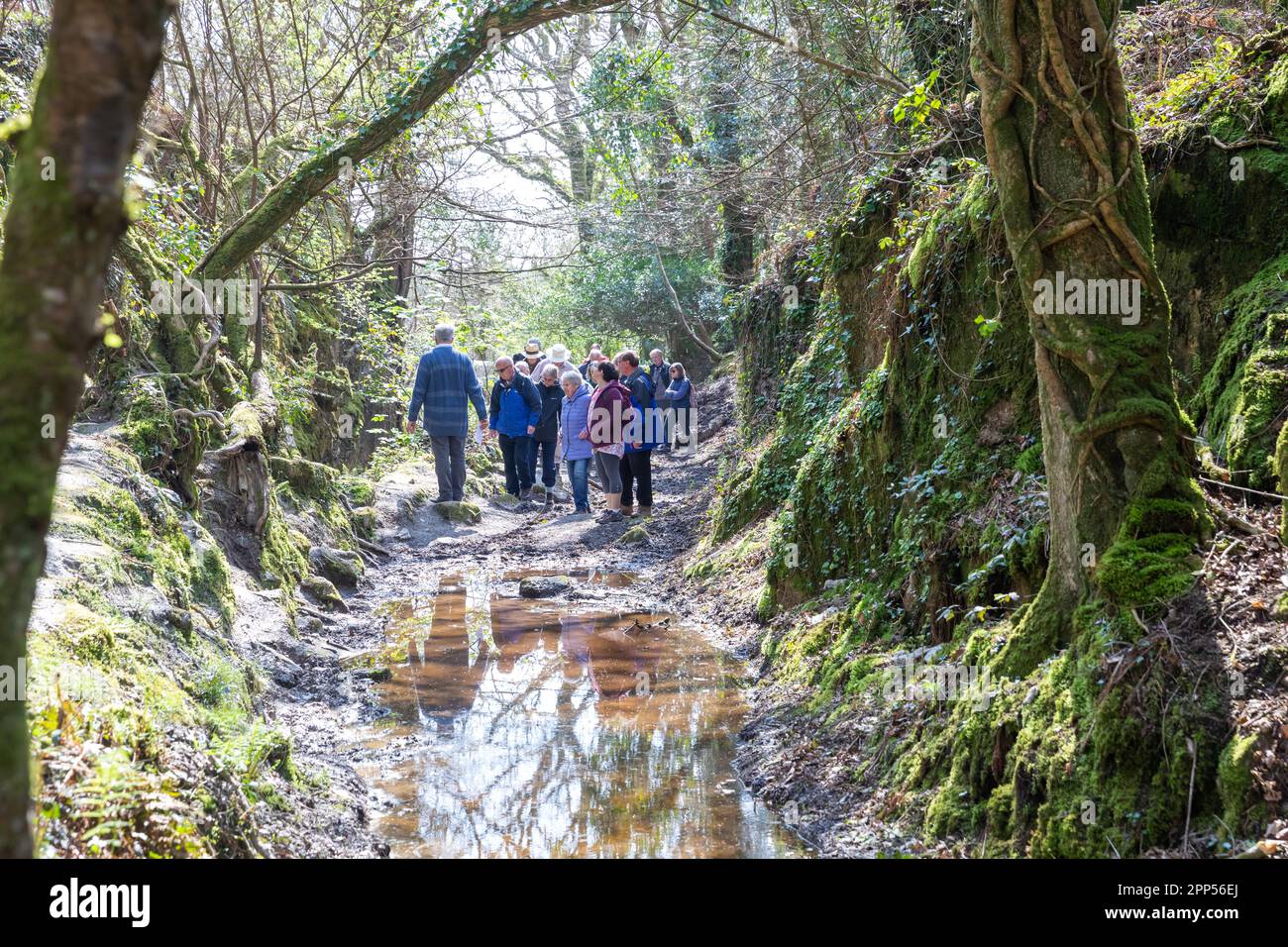 Cornwall treffry viaduct hi-res stock photography and images - Alamy