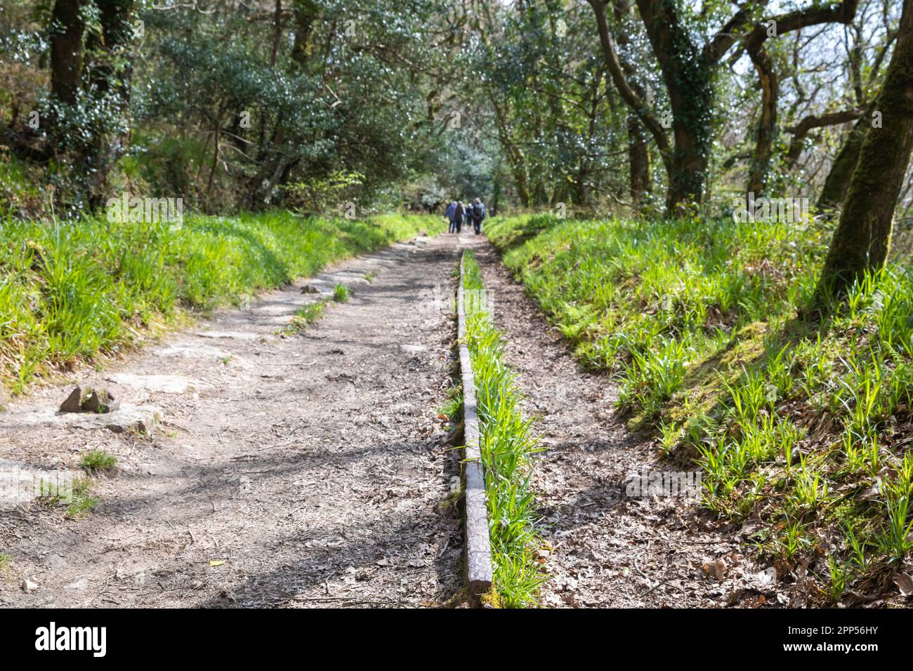 Treffry viaduct cornwall hi-res stock photography and images - Alamy
