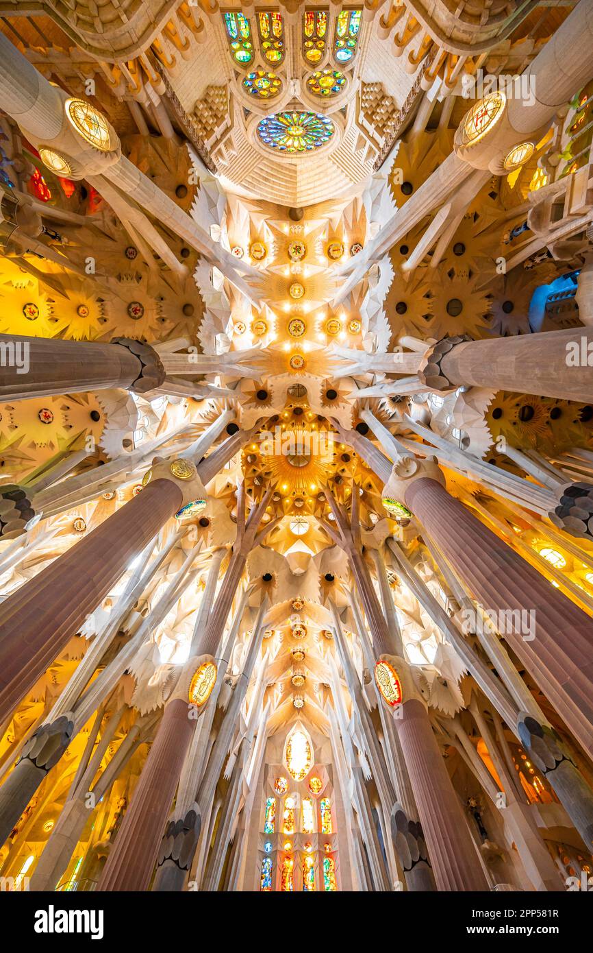 Artistic ceiling vault with columns, interior of the Sagrada Familia ...