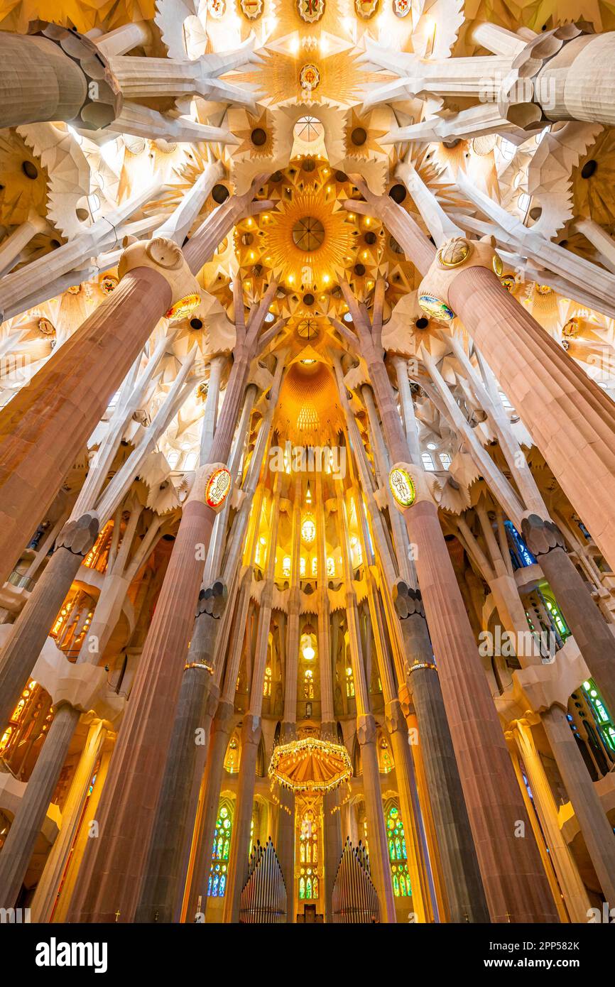 Artistic ceiling vault with columns, interior of the Sagrada Familia ...