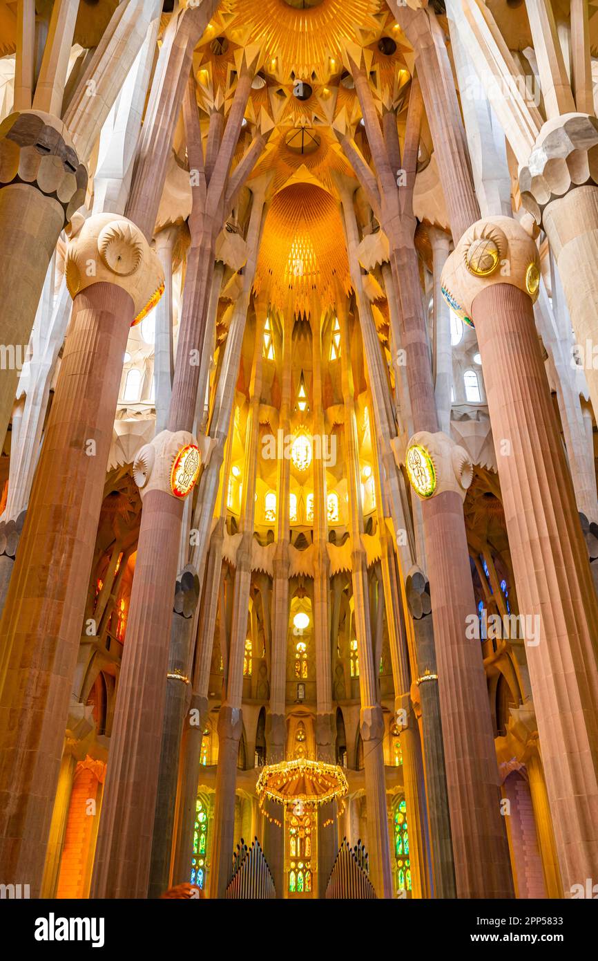 Artistic ceiling vault with columns, interior of the Sagrada Familia ...