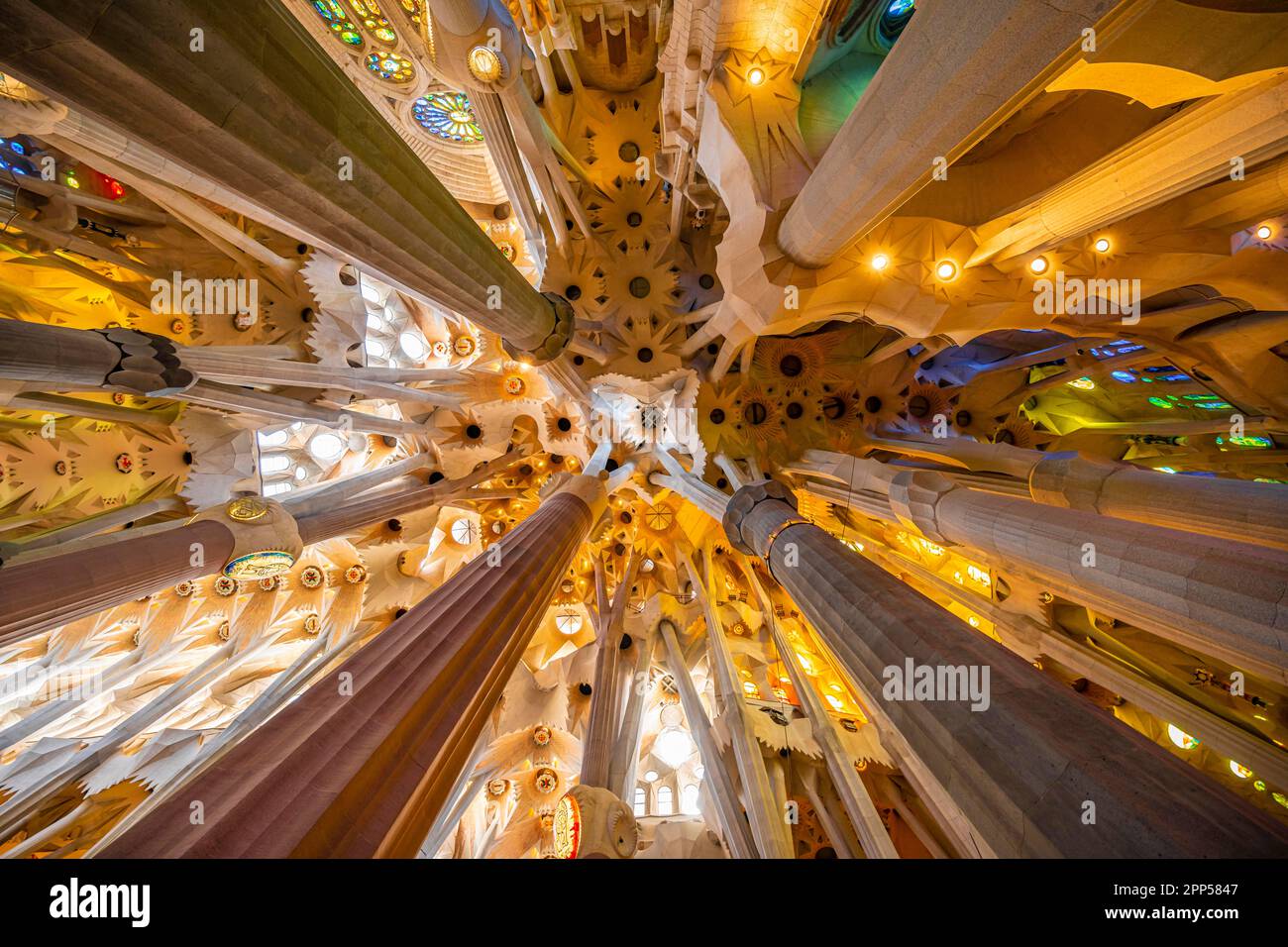 Artistic ceiling vault with columns, interior of the Sagrada Familia ...