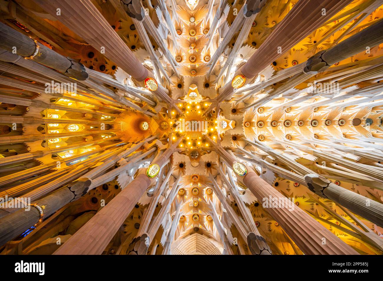 Artistic ceiling vault with columns, interior of the Sagrada Familia ...