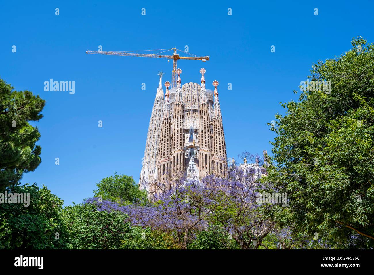 Park, trees in front of the Sagrada Familia, Barcelona, Catalonia ...
